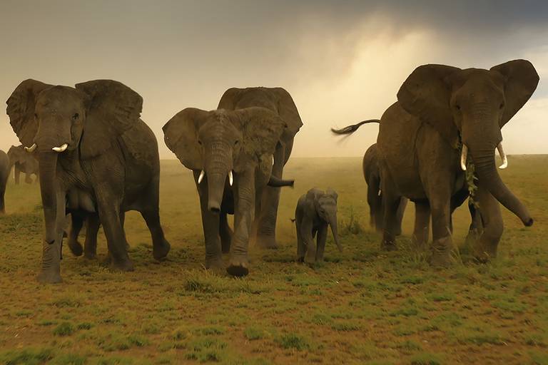 Information und Infotainment – ZDF Werbefernsehen